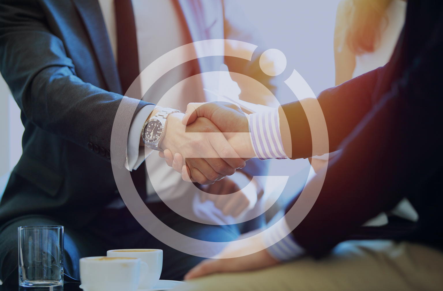 New Corporate Partners - Domino Highvoltage